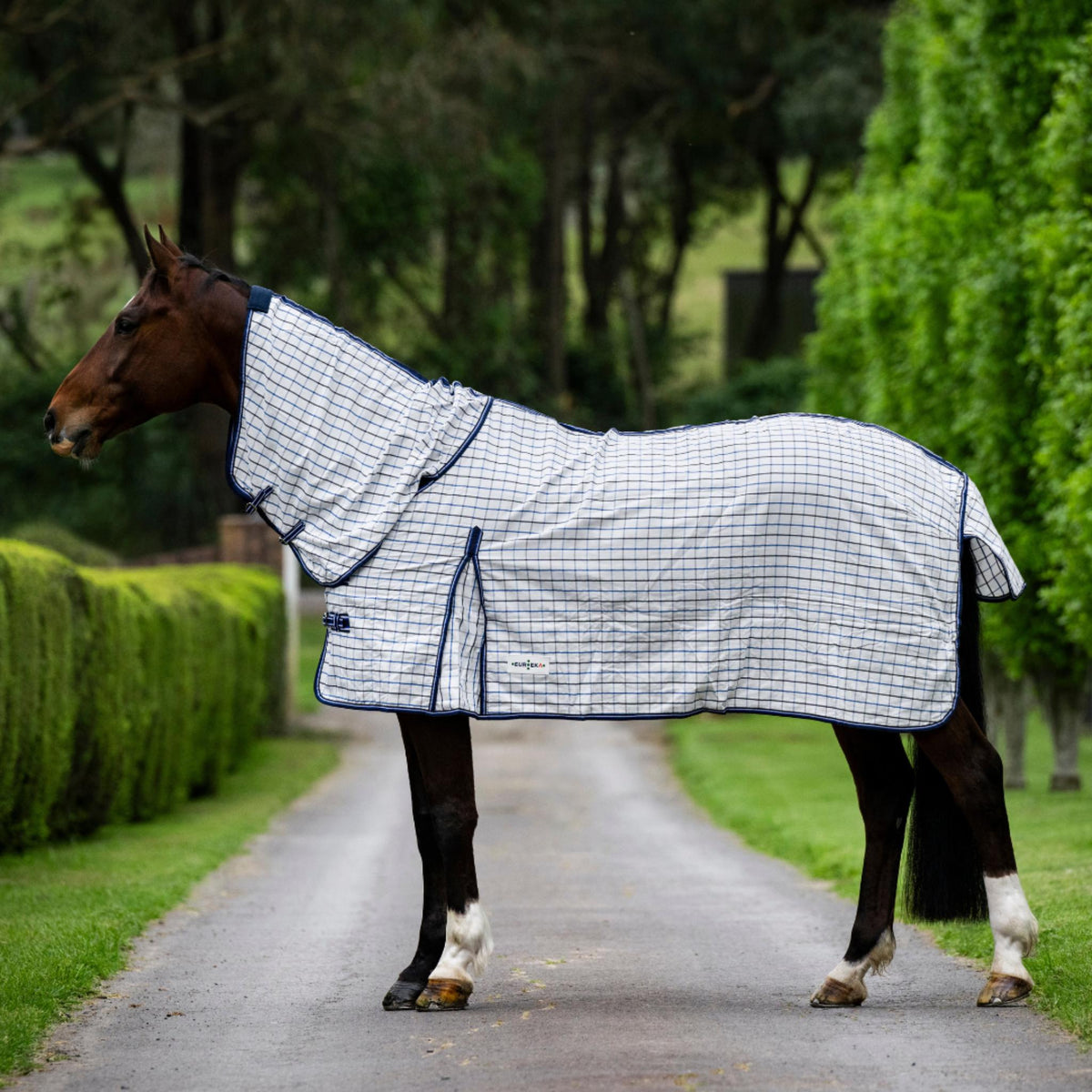 Eureka Summer Ripstop Cotton Feel Rug/Combo – Hurstbridge Saddlery