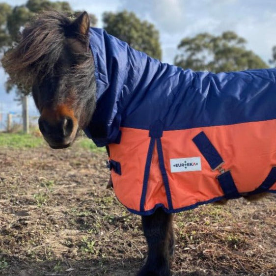 Eureka Mini Winter Synthetic Rug/Combo – Hurstbridge Saddlery
