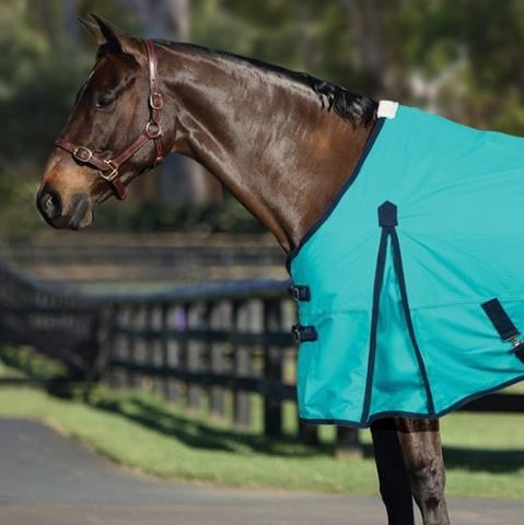 Kozy 600D 200G Nylon Rug – Hurstbridge Saddlery